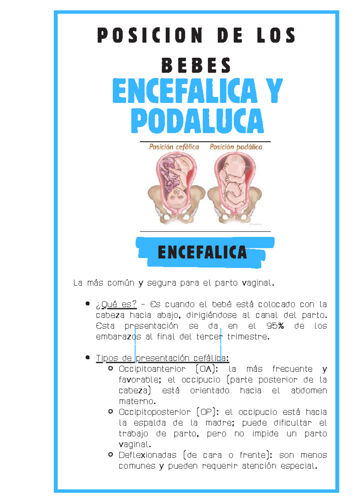 Posición de los Bebés: Presentaciones Cefálicas y Podálicas en Parto ...