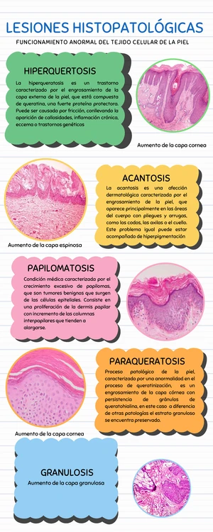 Escala Silverman-Anderson: Evaluación de Dificultad Respiratoria RN ...