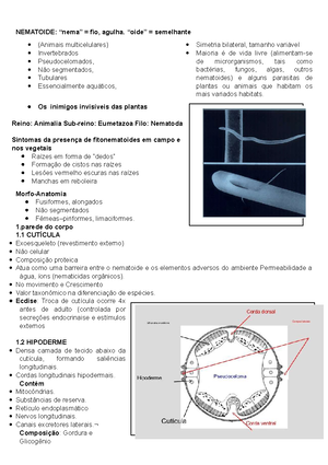 Cestóides - CESTÓIDES: Classe Cestoda: A classe Cestoda é uma classe do ...
