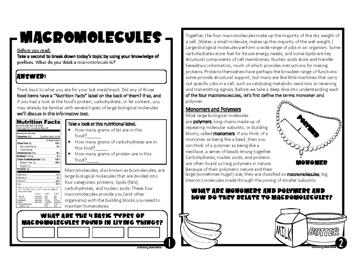 Close Read Macromolecules - MACROMOLECULES Before you read: prefixes ...