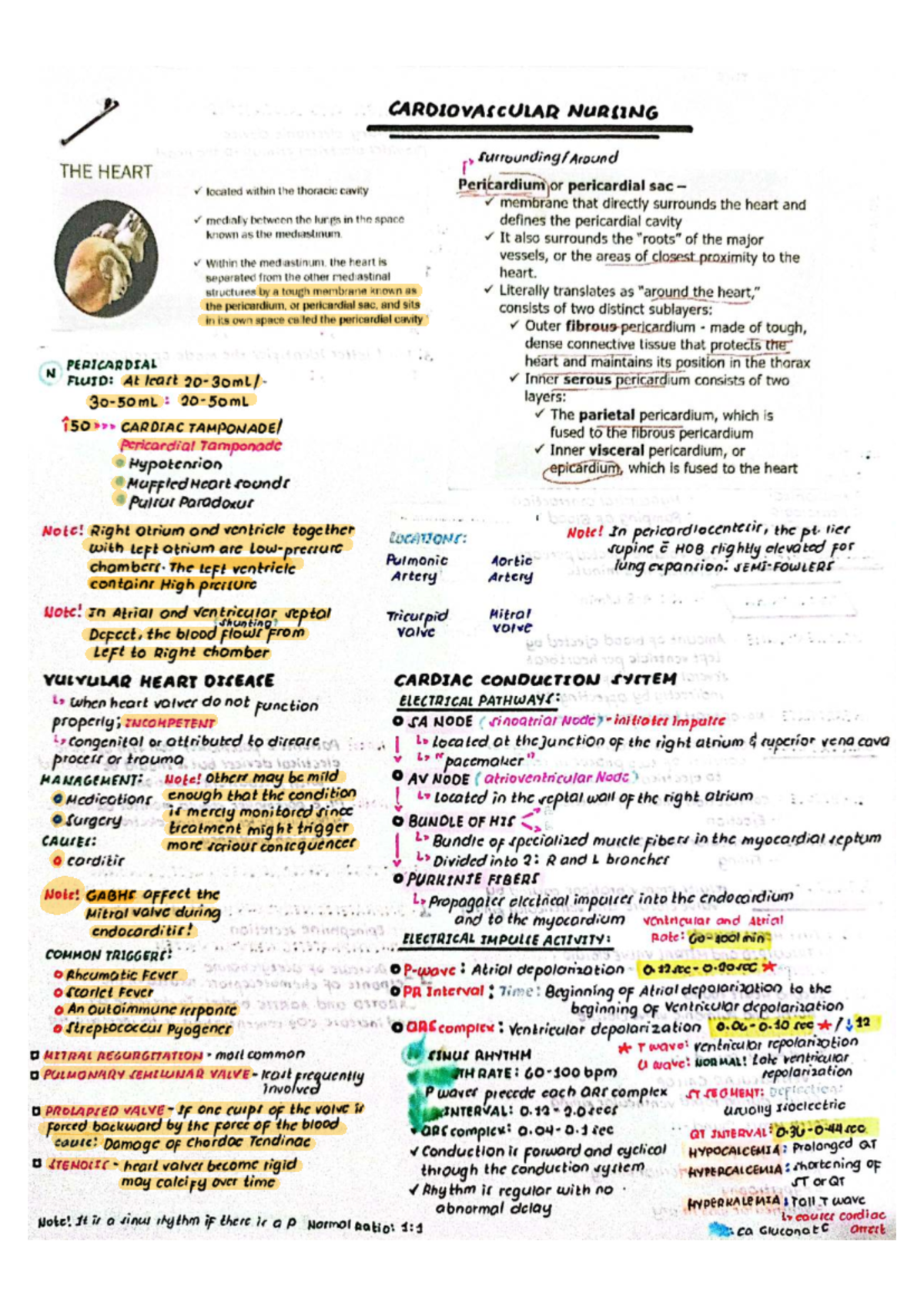 CARDIOVASCULAR NURSING: THE HEART & SYSTEM OVERVIEW (NUR 150) - Studocu