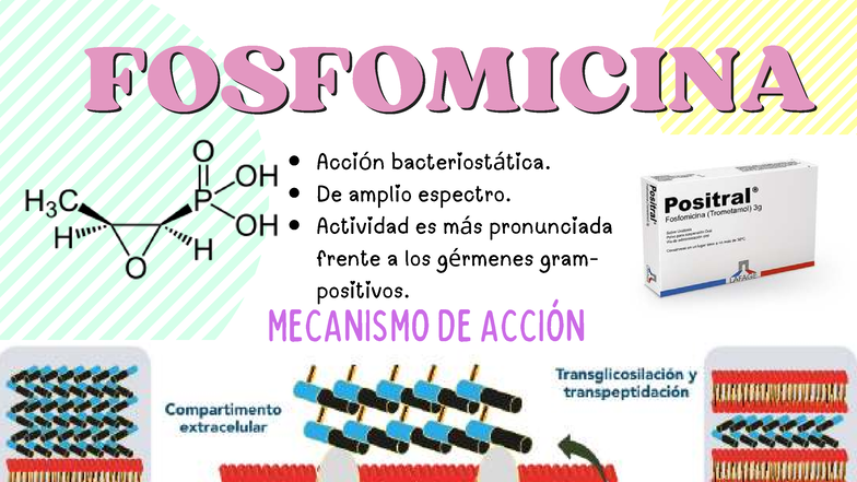 FOSFOMICINA y Cicloserina: Mecanismos y Farmacocinética - Studocu