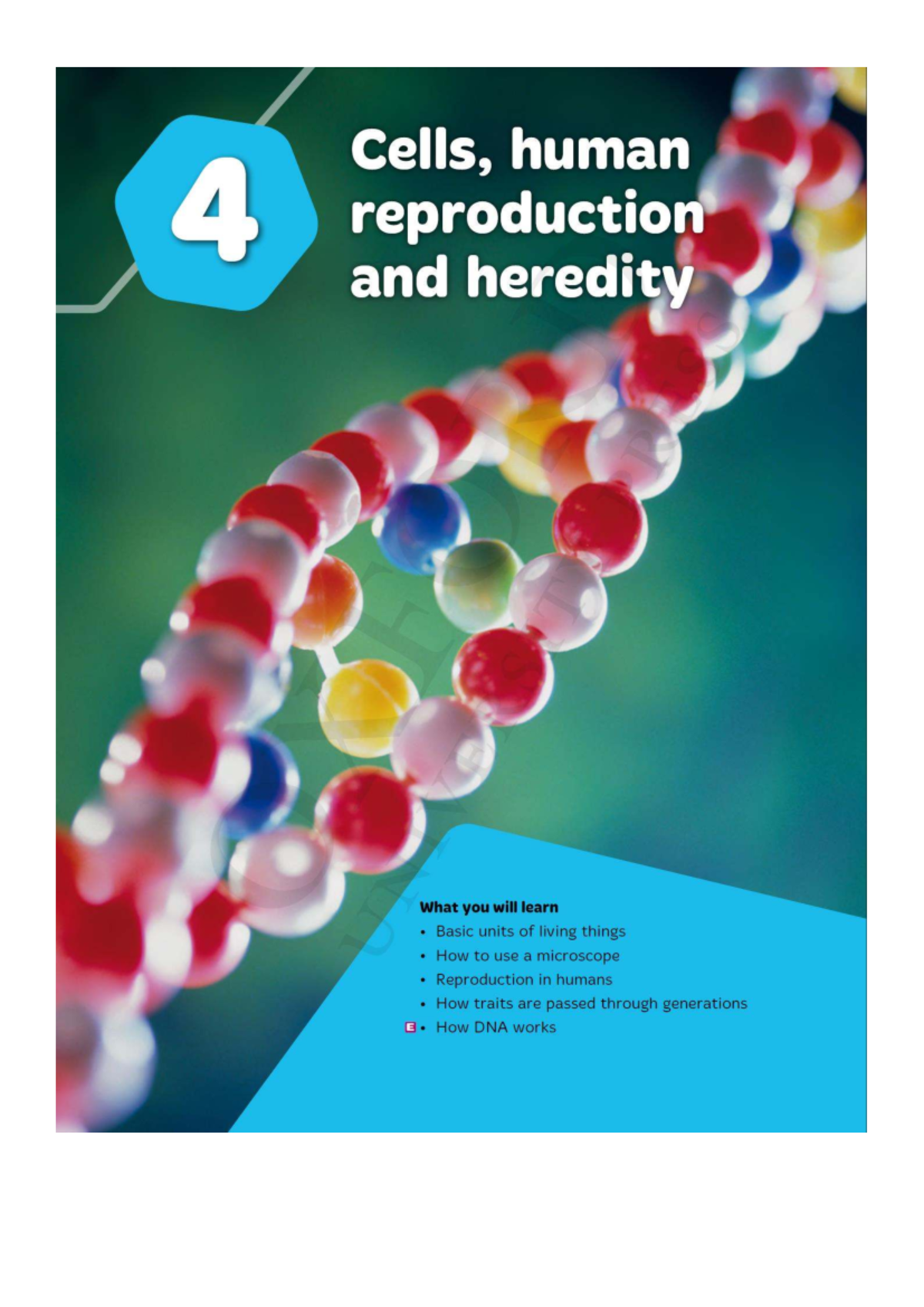 Cells, Human Reproduction & Heredity (Biology 101) - Study Notes - Studocu