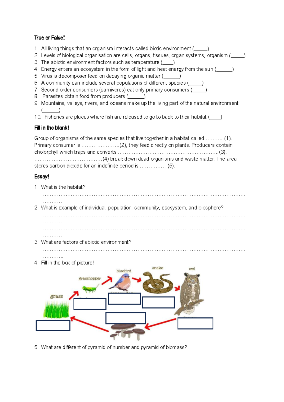 Soal Ecology - True or False & Essay Notes - Studocu