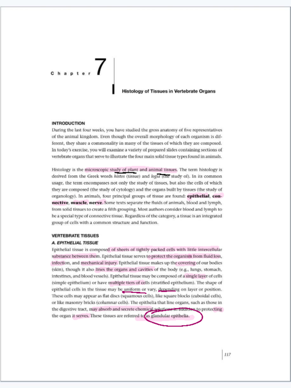 Bio 2 Lab Manual: Granulocytes & ELISA Techniques - Studocu