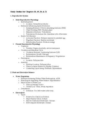 Assessment Cheat Sheet - [Sys: