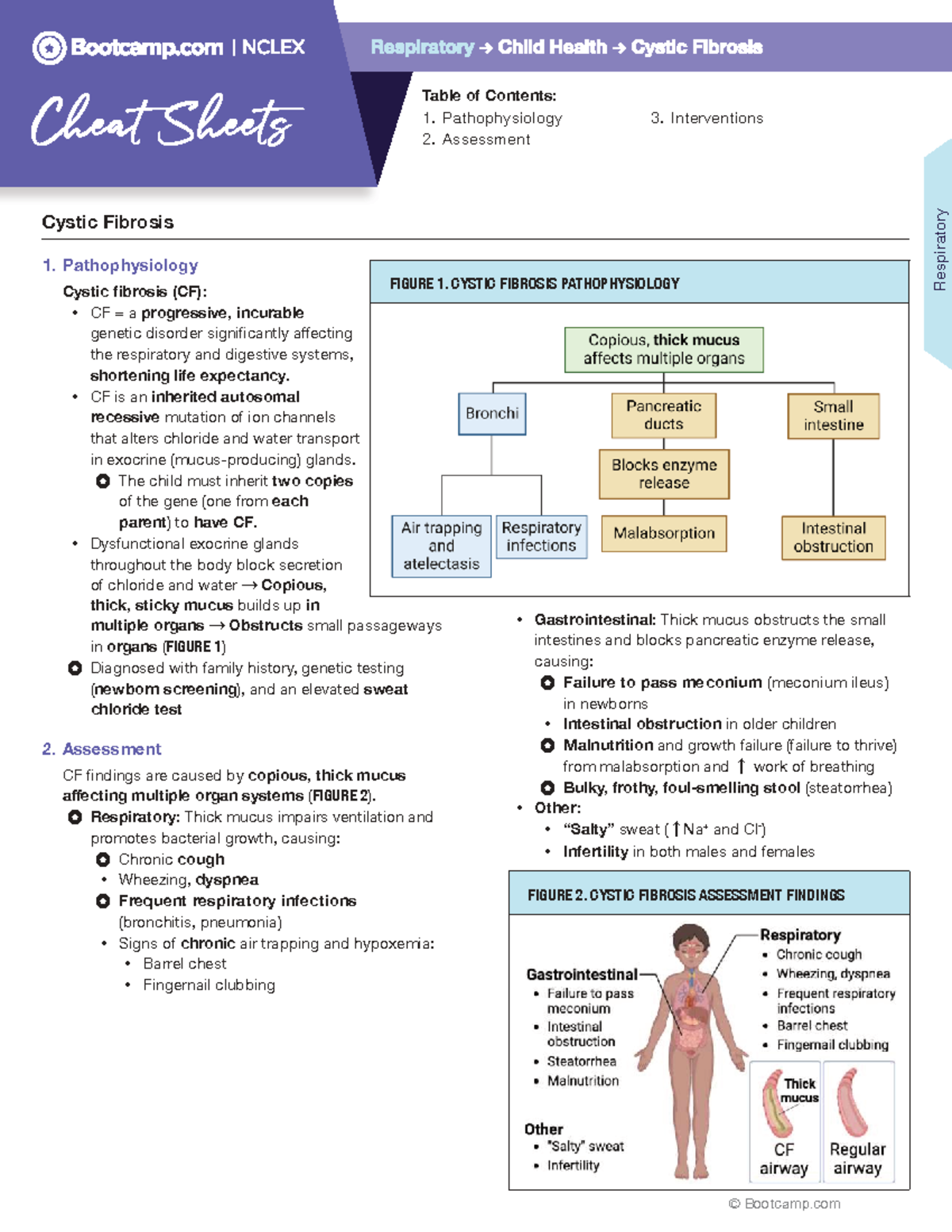 Cystic Fibrosis (CF) Cheat Sheet: Pathophysiology, Assessment ...