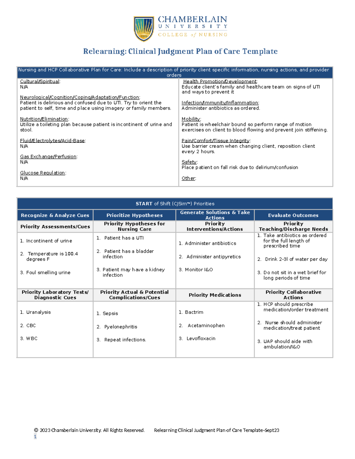 CJSim™ Care Plan for Delirious Patient with UTI - Nursing Actions ...