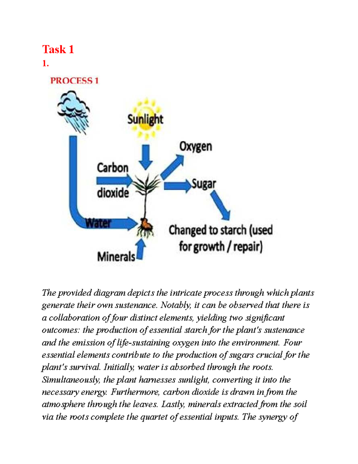 IELTS Writing Task 1 & 2: Diagram & Opinion Essay Notes - Studocu