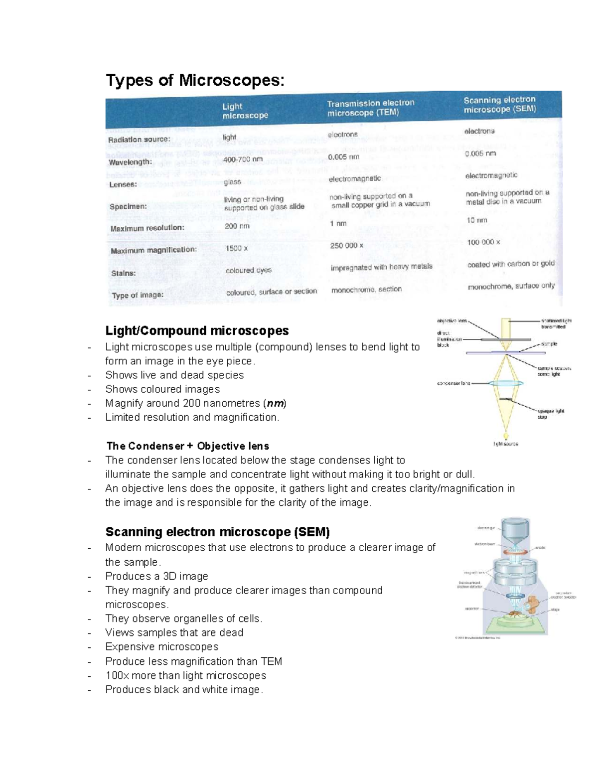 Yr 11 Biology: Types of Microscopes Explained - Studocu