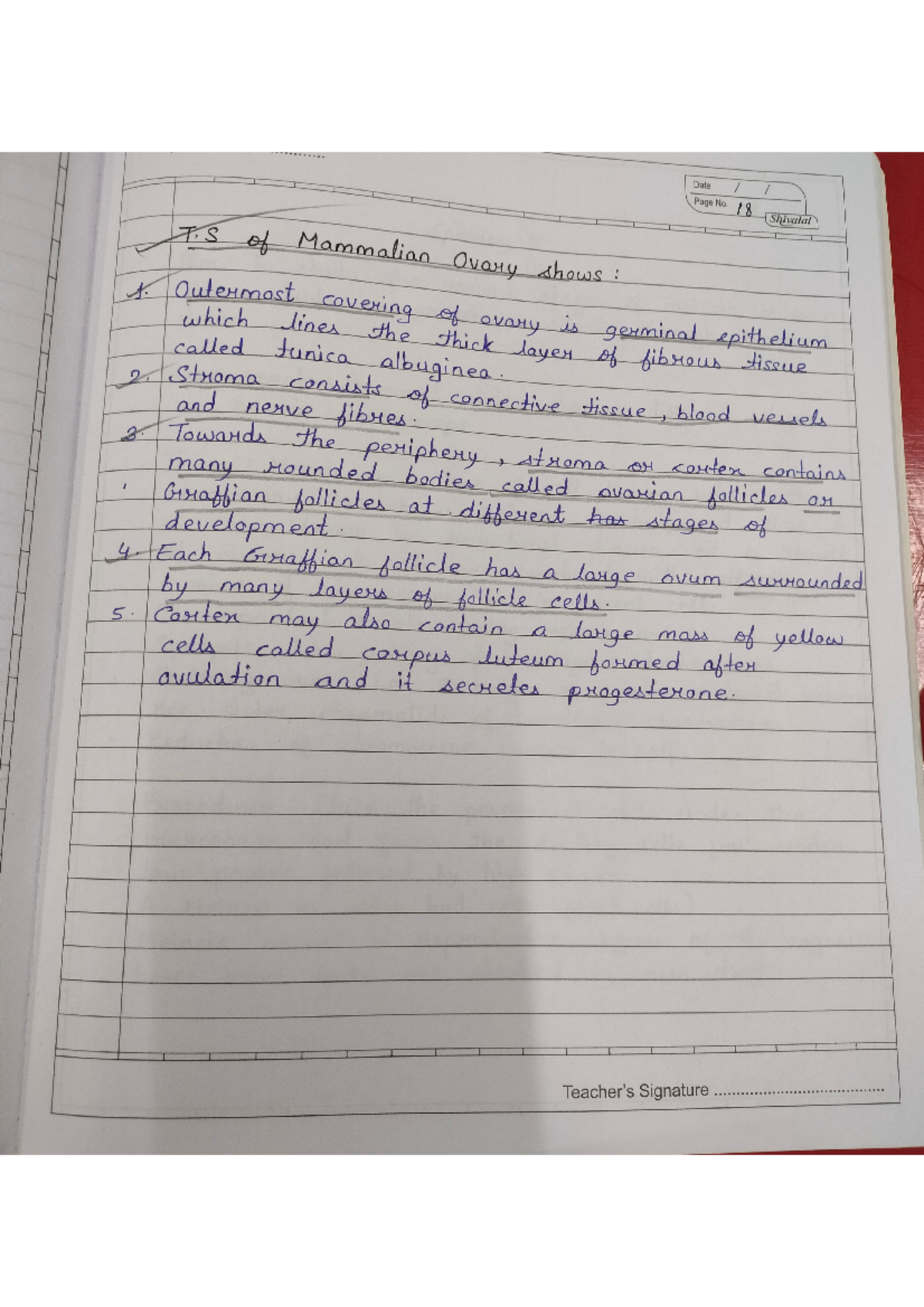 MAMM 101 Spotting Practical: Identification of Mammalian Ovary ...