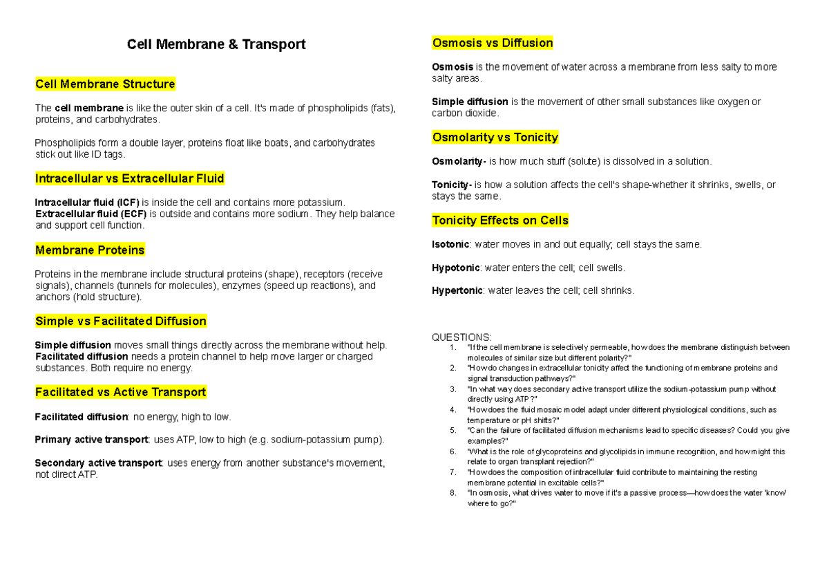Cell Membrane Transport Study Guide: Structure & Function - Studocu