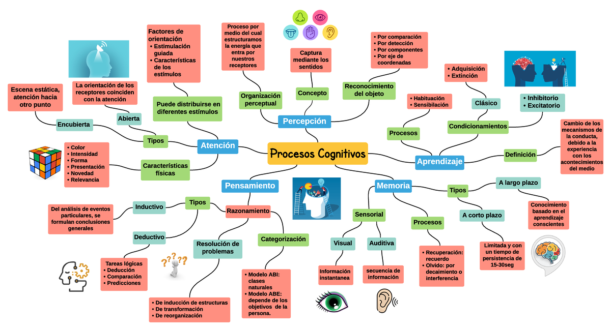 Mapa Mental - Procesos Cognitivos Básicos y su Funcionamiento - Studocu