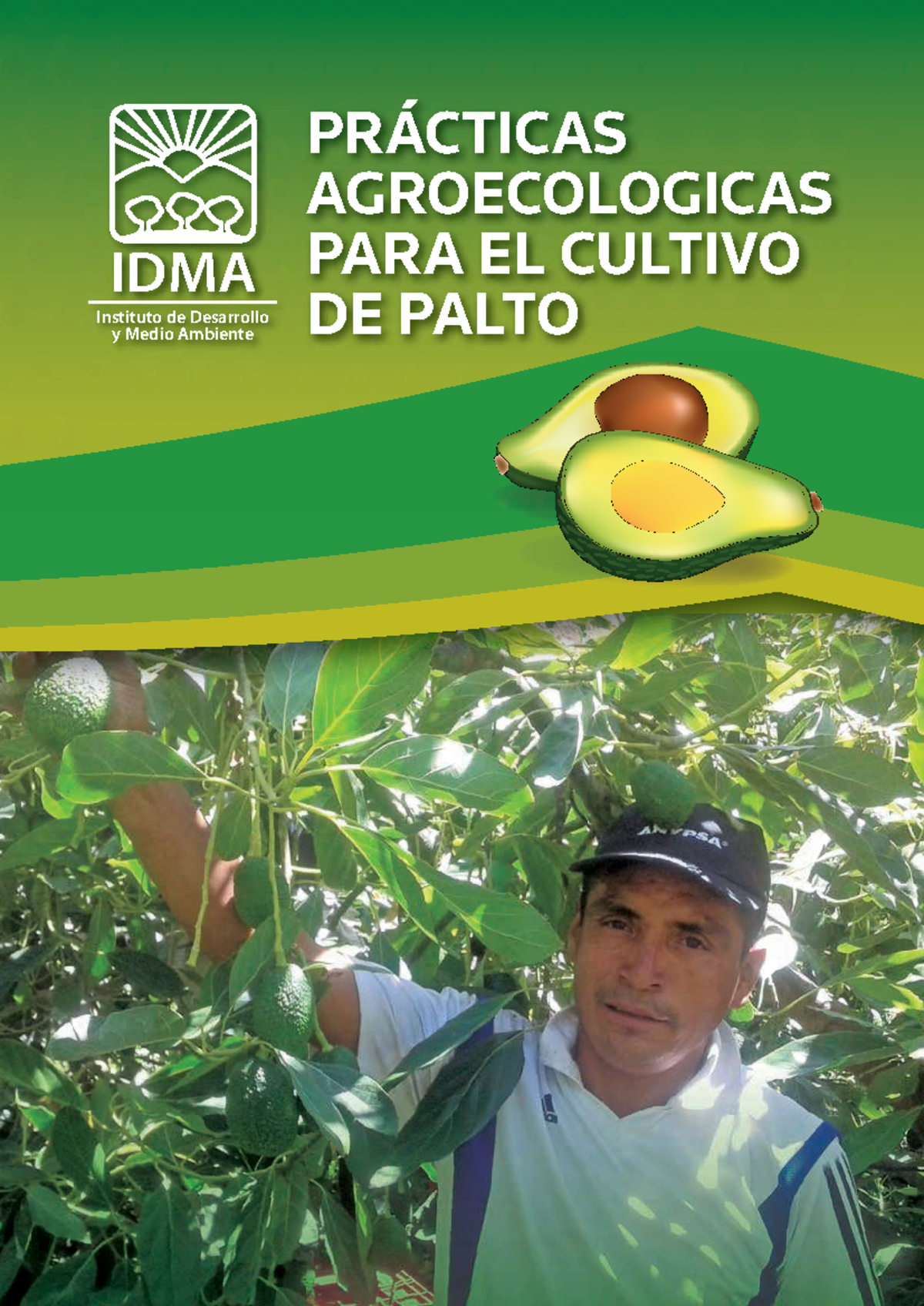 Manual de Prácticas Agroecológicas para el Cultivo de Palto - IDMA - Studocu