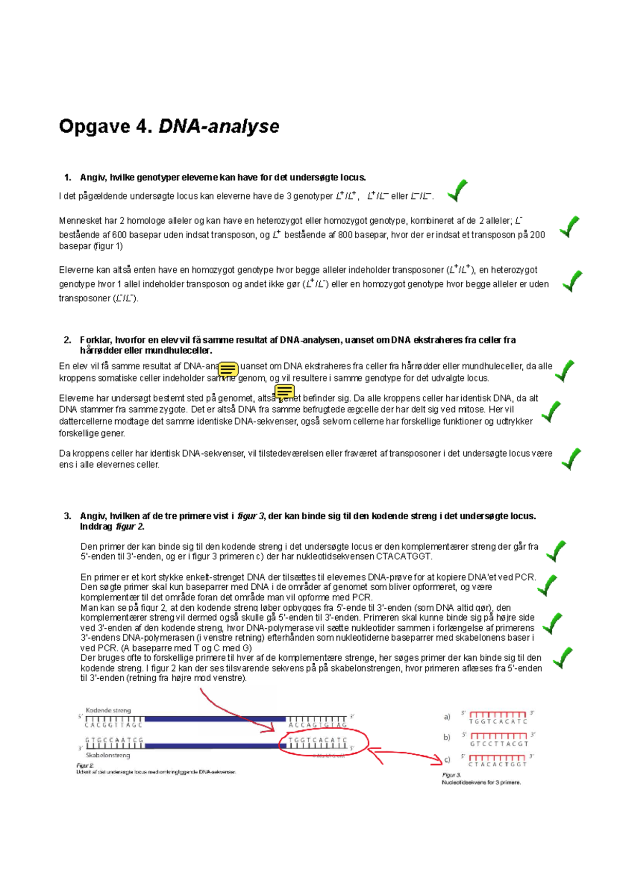 Biologi Opgave: Genotyper og DNA Analyse i Klasse 1B - Studocu
