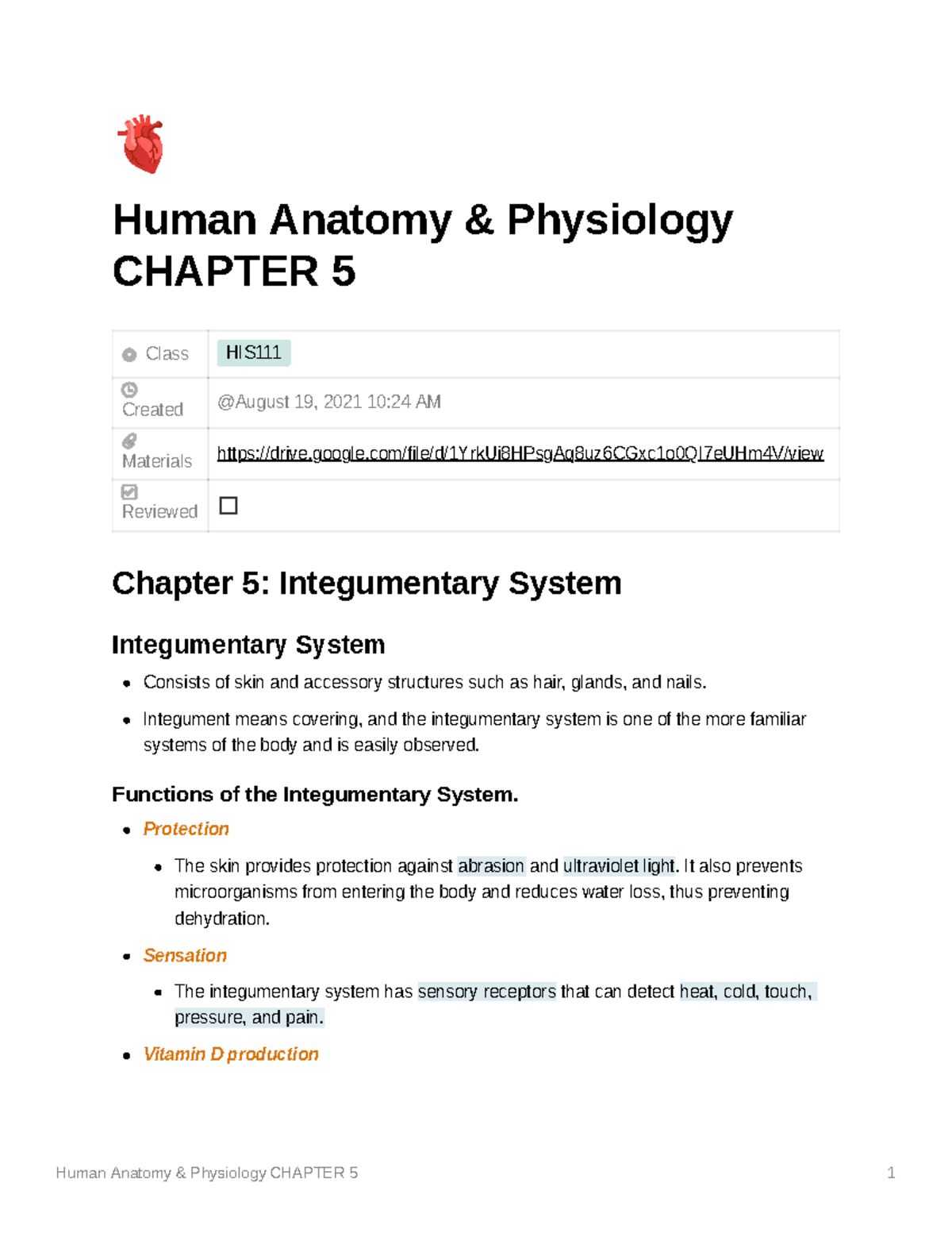 Seeley's Human Anatomy and Physiology CHAPTER 5 - Human Anatomy ...