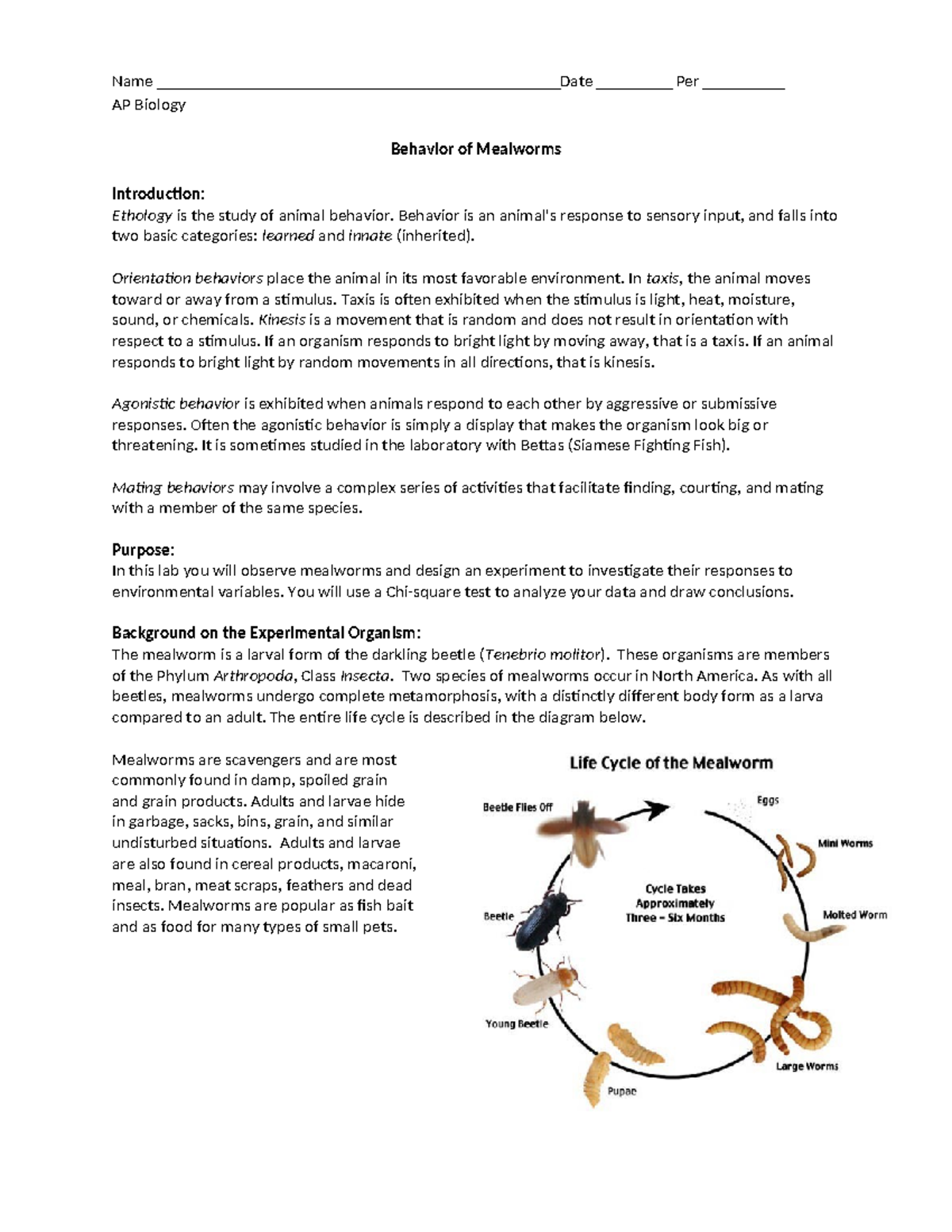 AP Biology Lab: Behavior of Mealworms and Environmental Responses ...