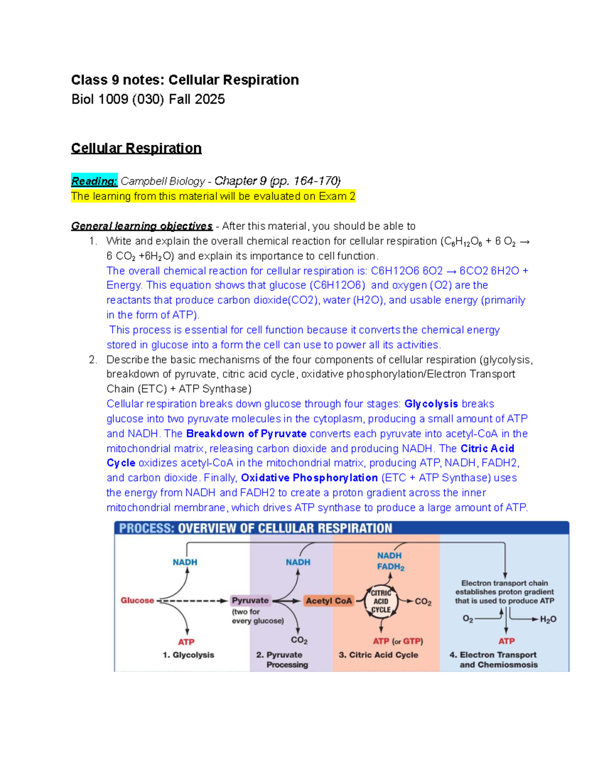Class 9 Notes: Cellular Respiration Overview - BIOL 1009 (030) Fall ...