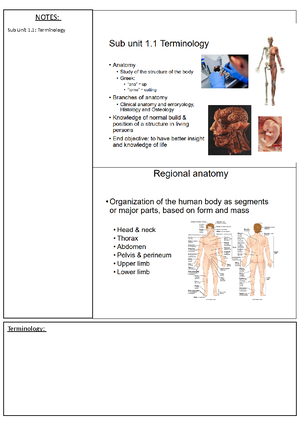 Anatomy 123 - notes - Give an overview of human anatomy Describe the ...