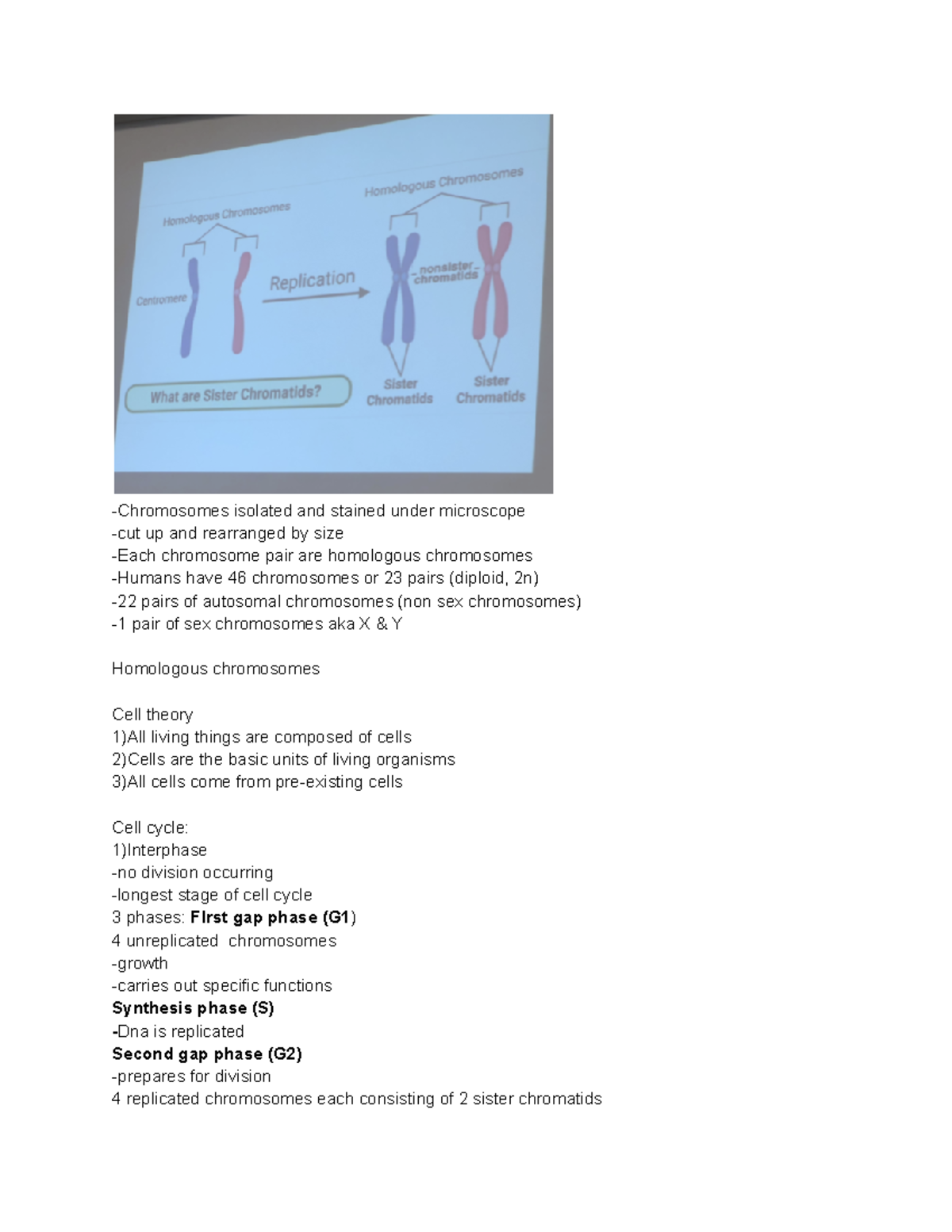 Pt2 - Cell notes continued -Chromosomes isolated and stained under ...