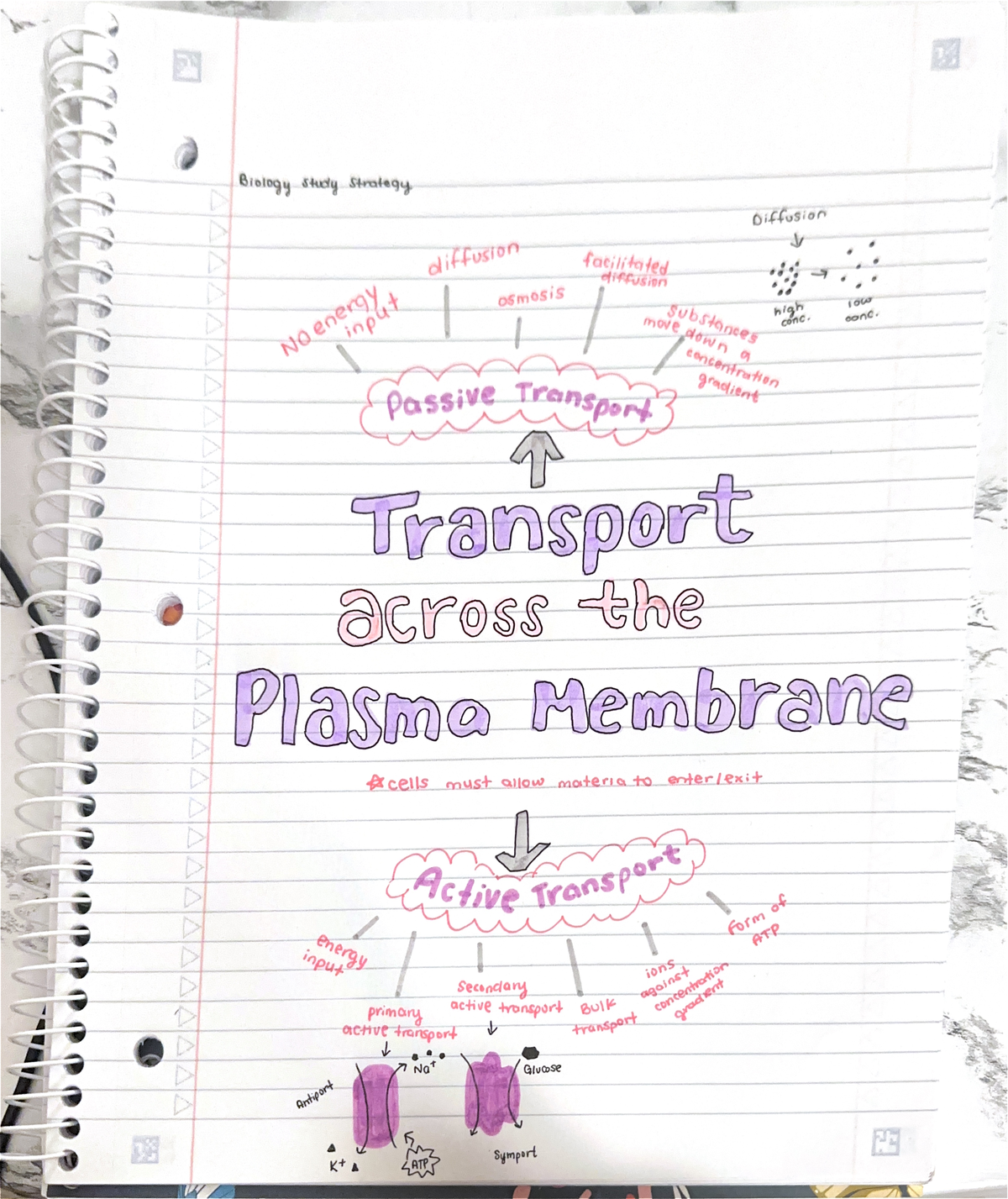 Bio strategy - Notes about diffusion - n Biology study Strategy ...