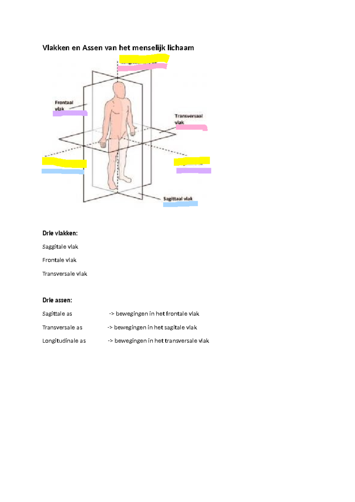 Vlakken en Assen van het menselijk lichaam - Anatomie en fysiologie ...