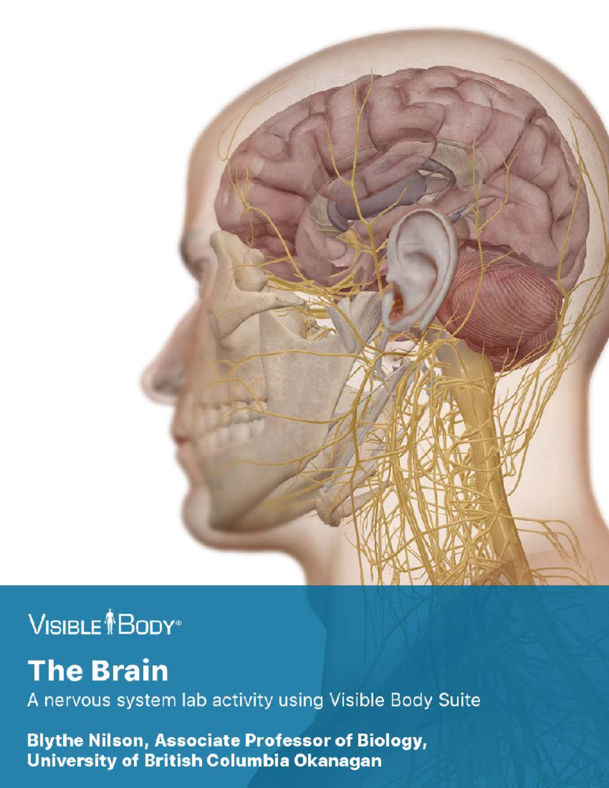 Lab manual for nervous system exercises (BIO 101) - Studocu