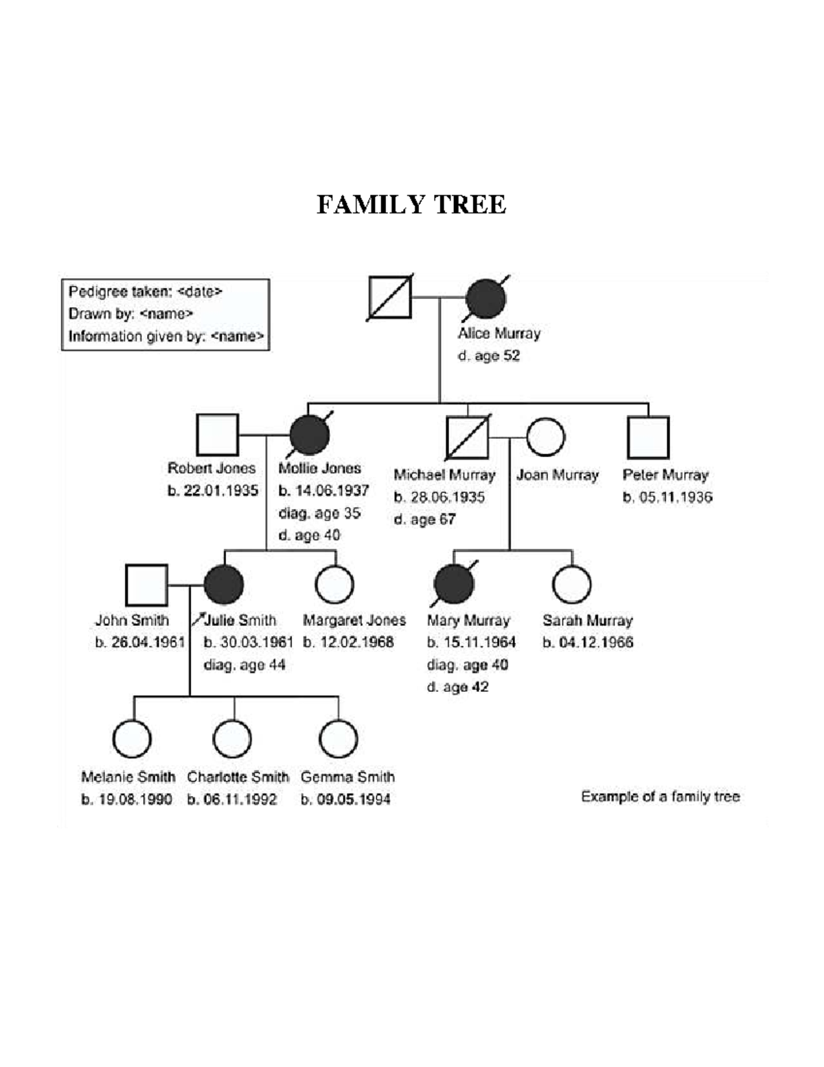 FAMILY TREE - Practical Materials for Genealogy Study - Studocu