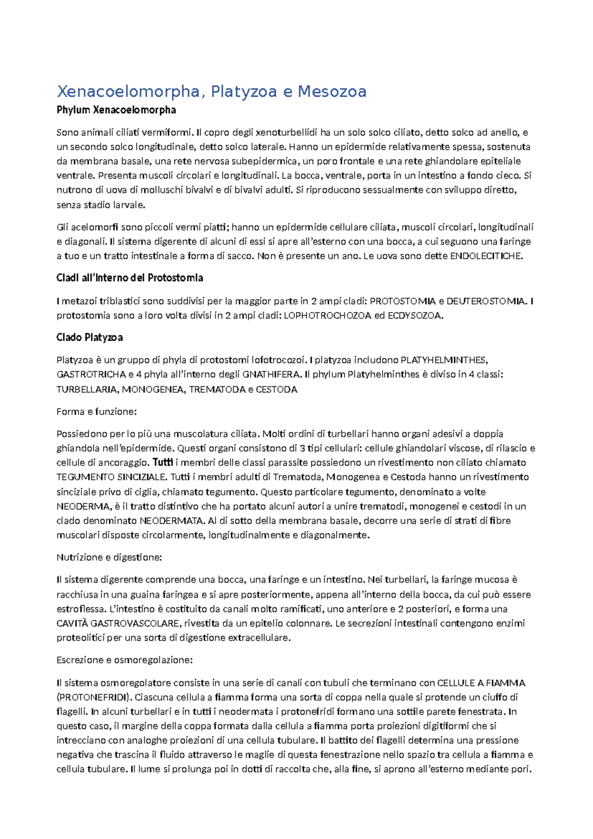 Xenacoelomorpha, Platyzoa e Mesozoa: Caratteristiche e Classificazione ...