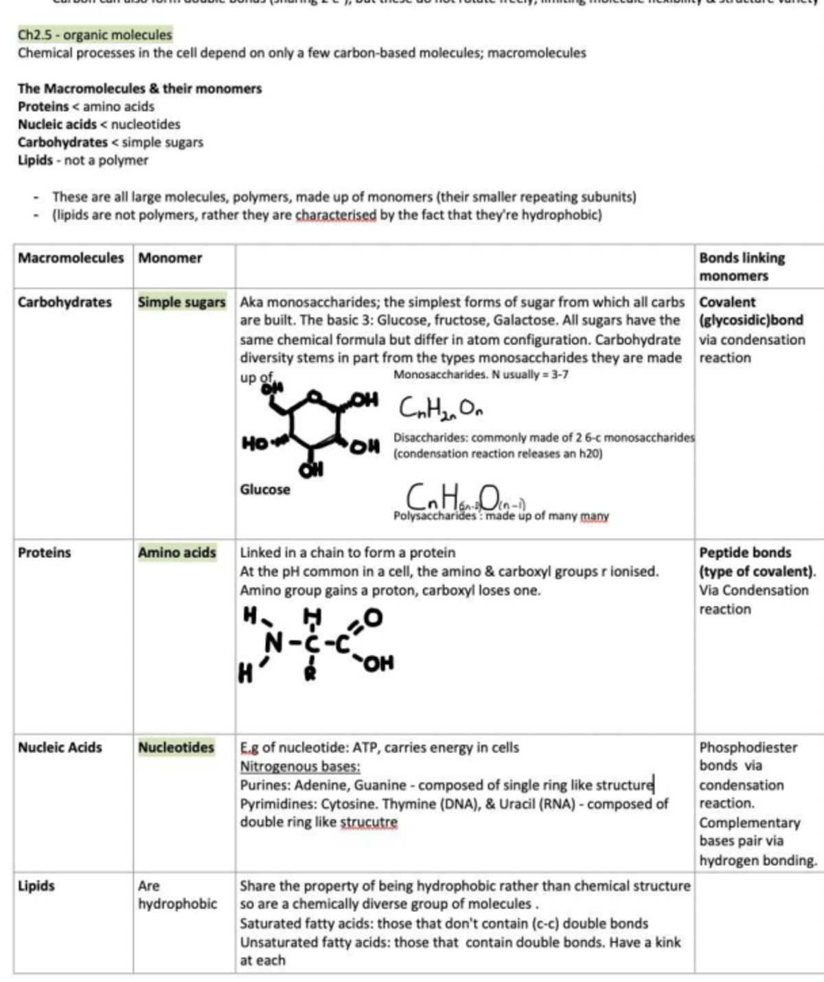 CC CUT UPO 2011: Ch2.5 Organic Molecules & Macromolecules Overview ...