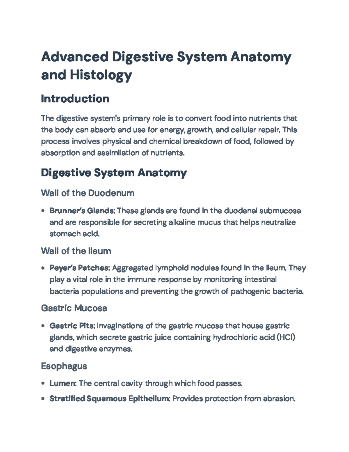 Digestive System Anatomy & Histology Overview for ANAT101 Course ...