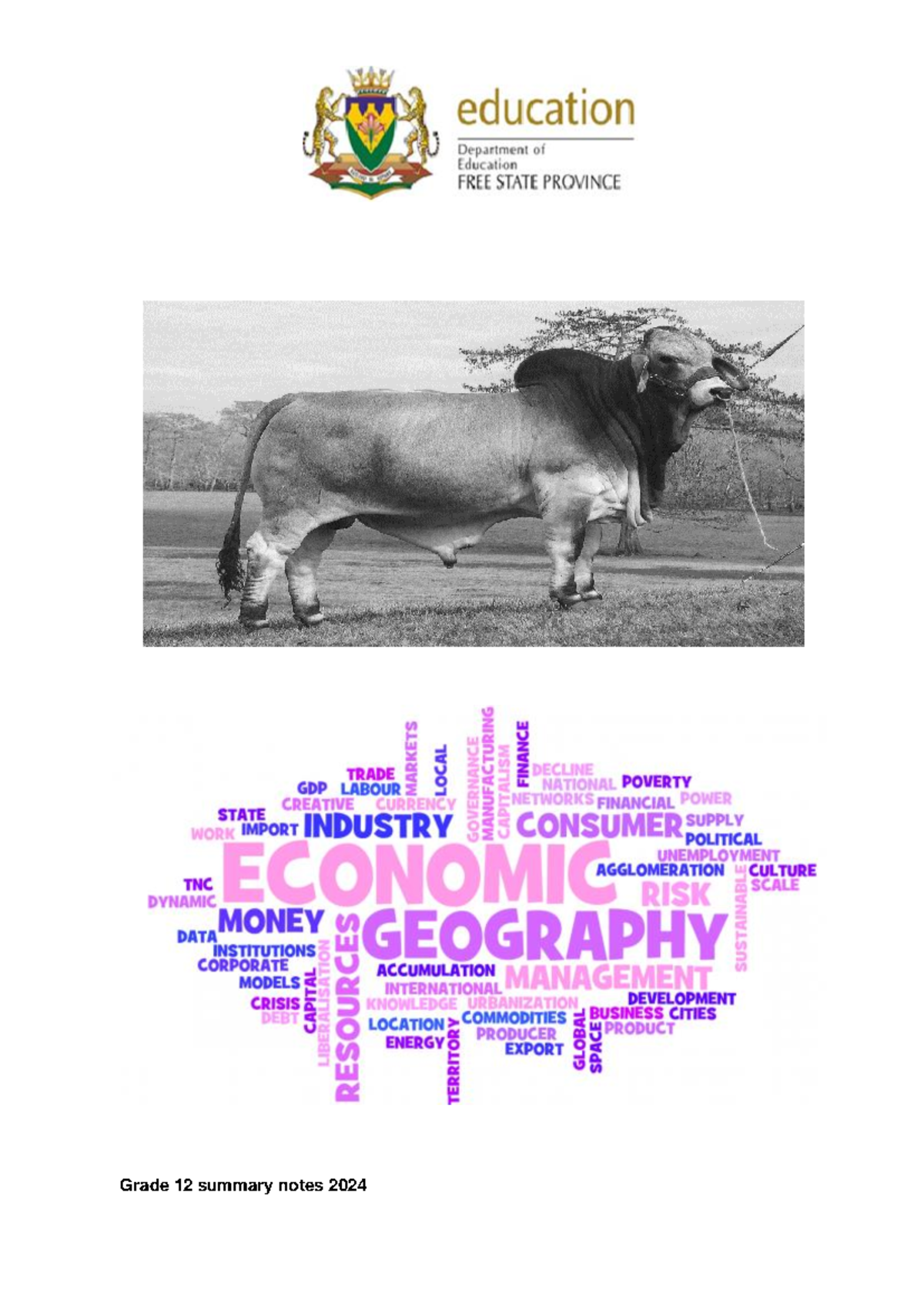 Grade 12 Economic Geography Summary Notes (2021) - Essential Topics ...