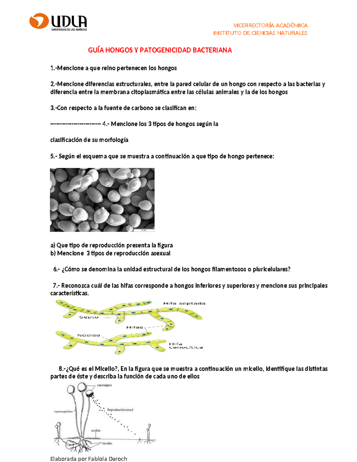 GUÍA HONGOS Y PATOGENICIDAD BACTERIANA - REPASO - Studocu