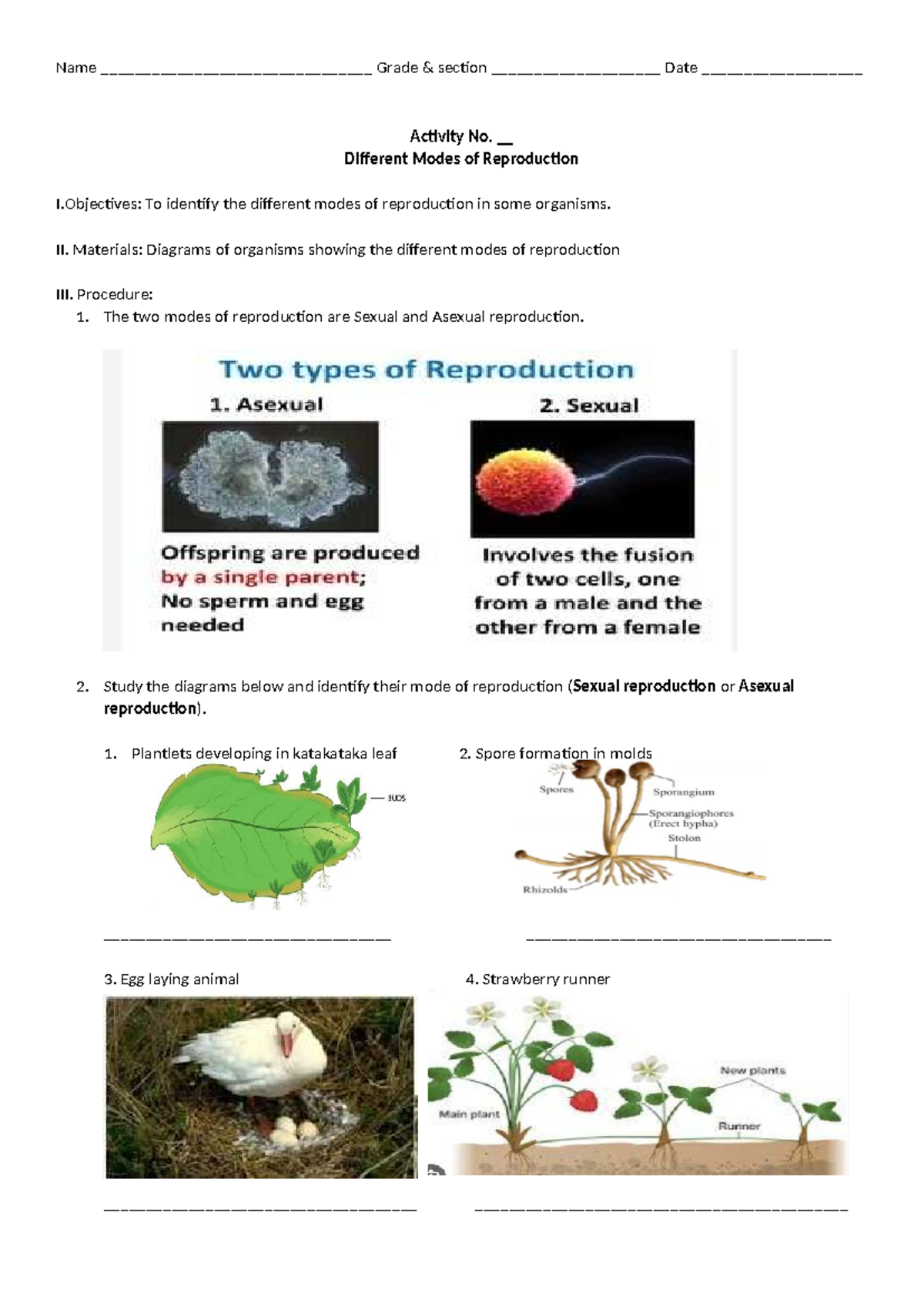 Q2 Different Modes of Reproduction in Organisms - Studocu