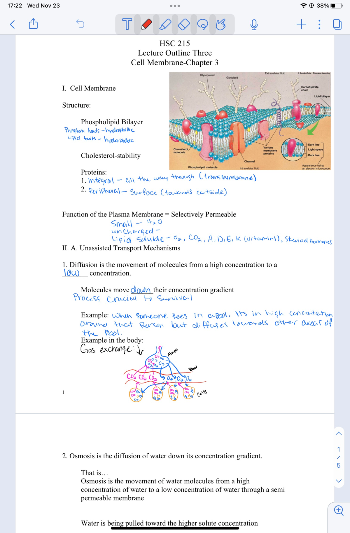 Cell membrane - 17:22 Wed Nov 23 I T Q B HSC 215 Lecture Outline Three ...