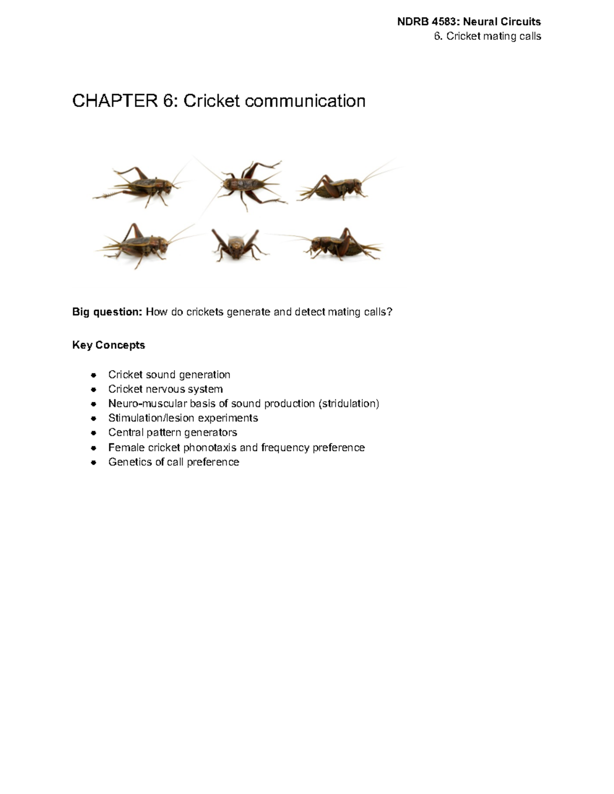 NDRB 4583: Neural Circuits - Chapter 6: Cricket Mating Calls Analysis ...