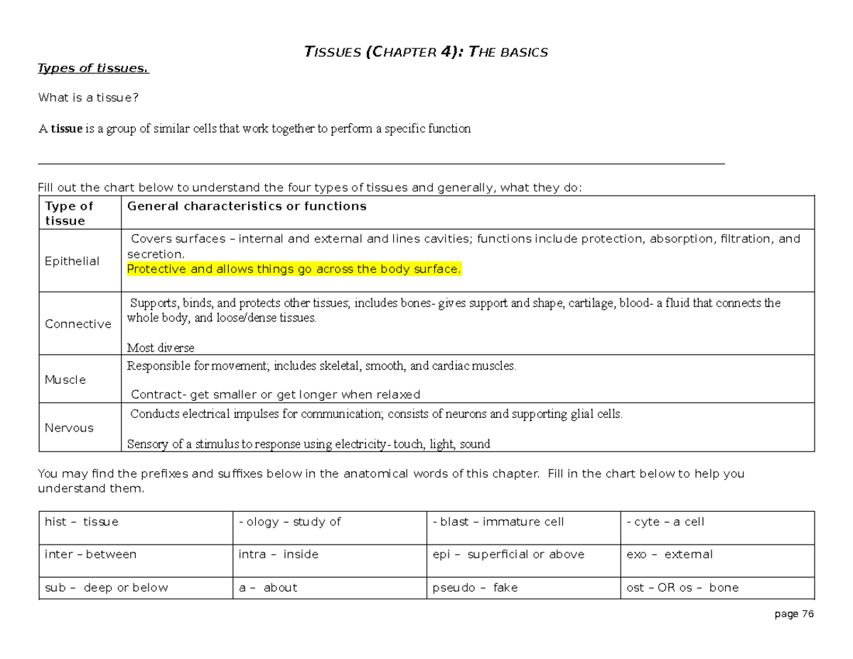 Tissue Types and Functions Study Guide (BIO 101): Chapter 4 Overview ...