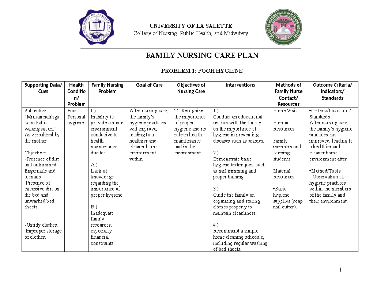 FNCP-1: Family Nursing Care Plan for Hygiene, Water, and Nutrition ...