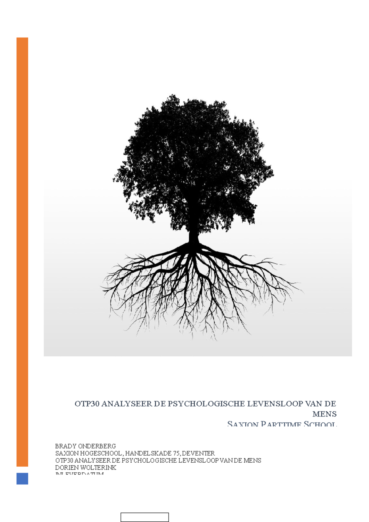 Beroepsproduct OTP30: Psychologische Levensloop en Ontwikkeling Analyse ...