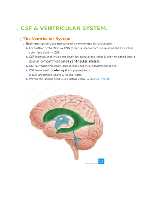 Epithelium Location + Mnemonics - Noted Anatomist Notes + Mnemonic ...