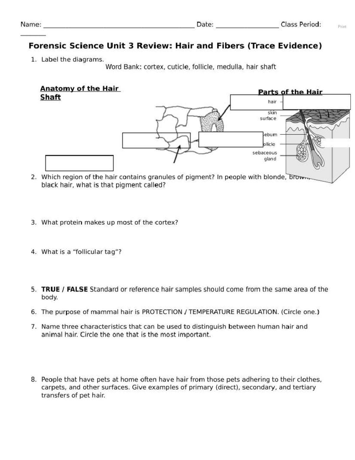 Forensic Science Unit 3 Review: Hair & Fibers (Trace Evidence) - Studocu