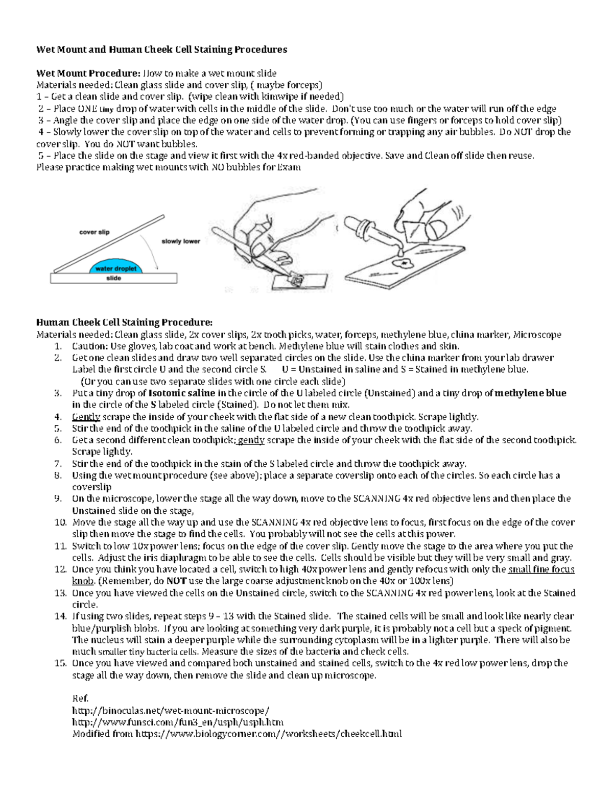 Handout-L02-03: Wet Mount & Human Cheek Cell Staining Guide - Studocu