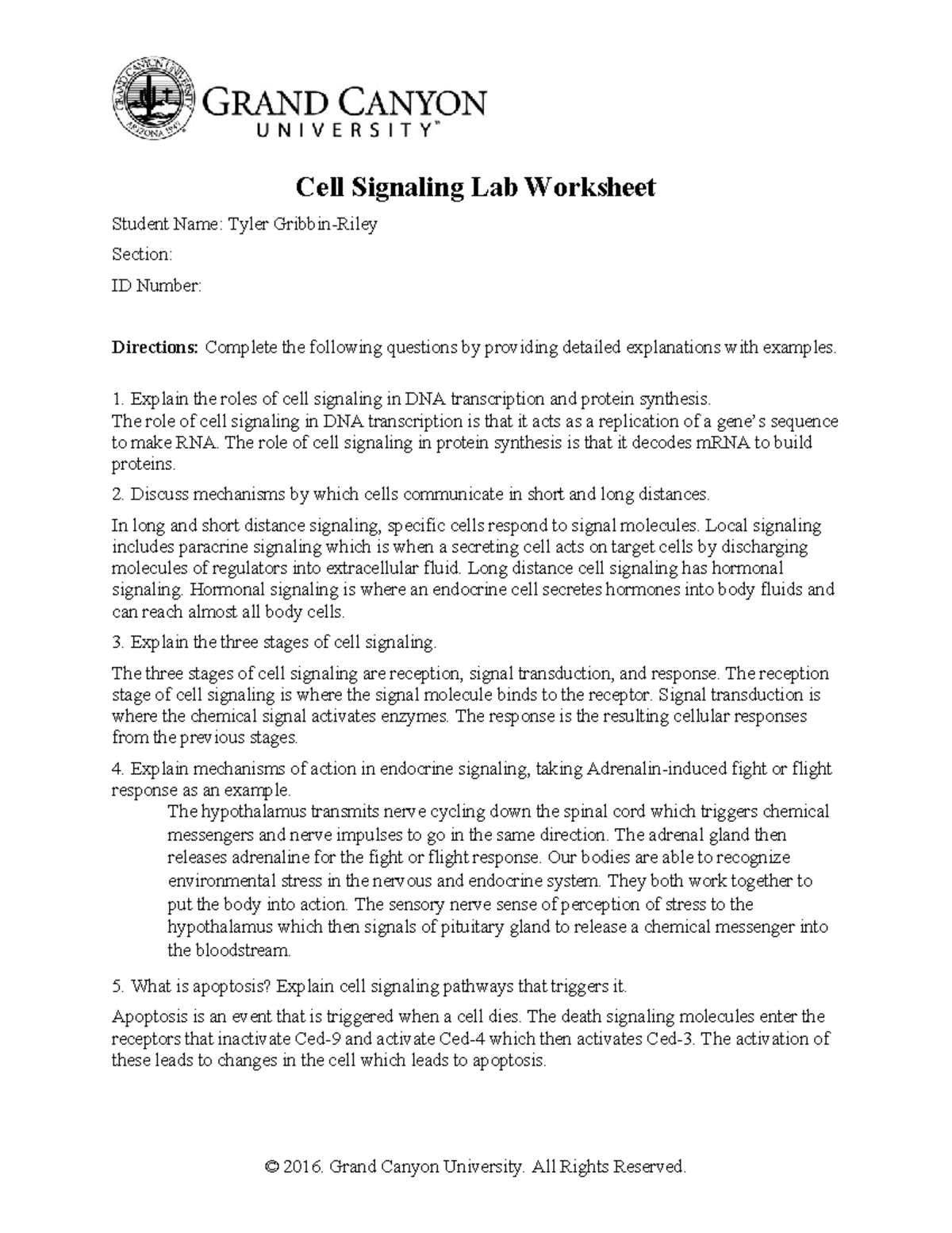 Cell Signaling Worksheet - Cell Signaling Lab Worksheet Student Name ...
