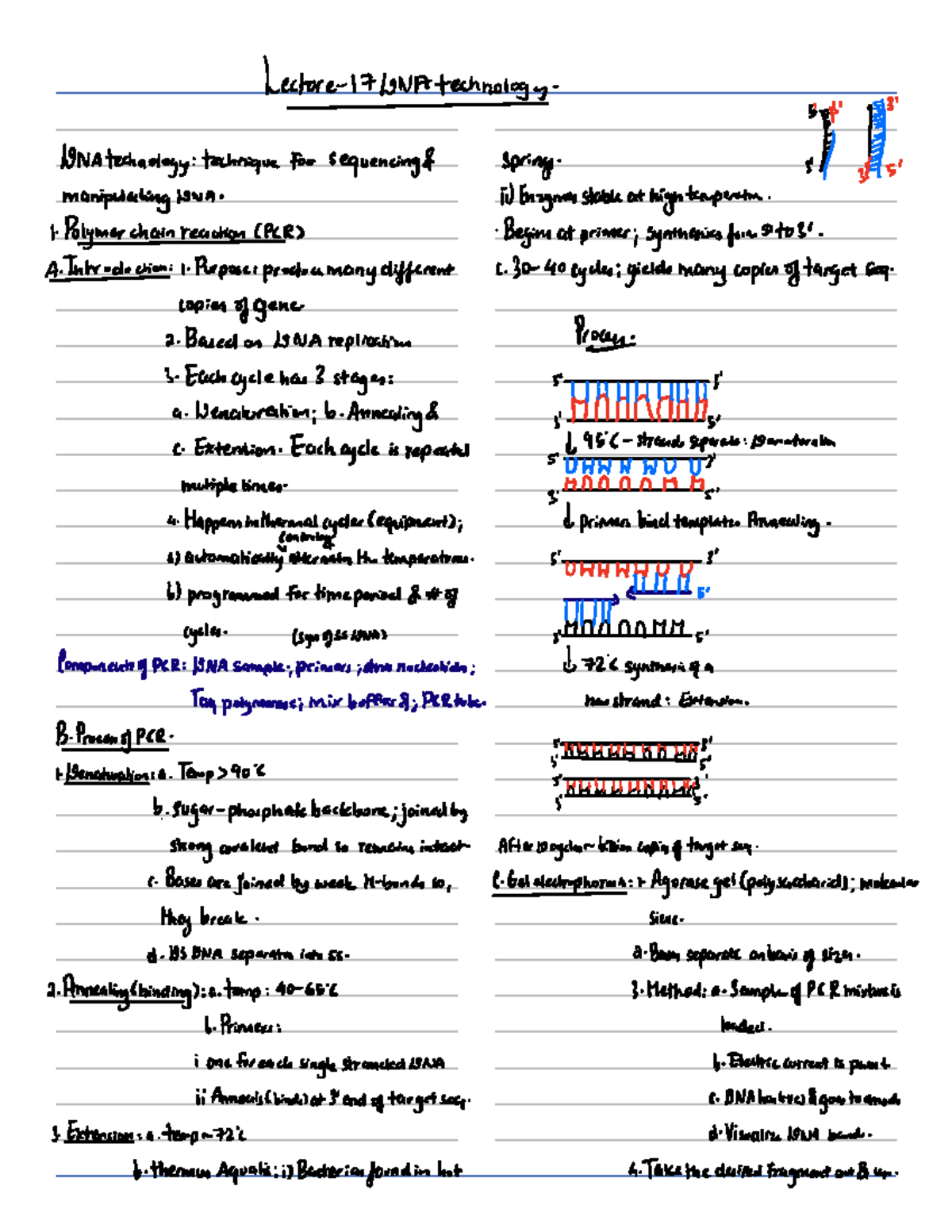 DNA Technology and Human Genetics: Techniques and Applications (5F13 ...
