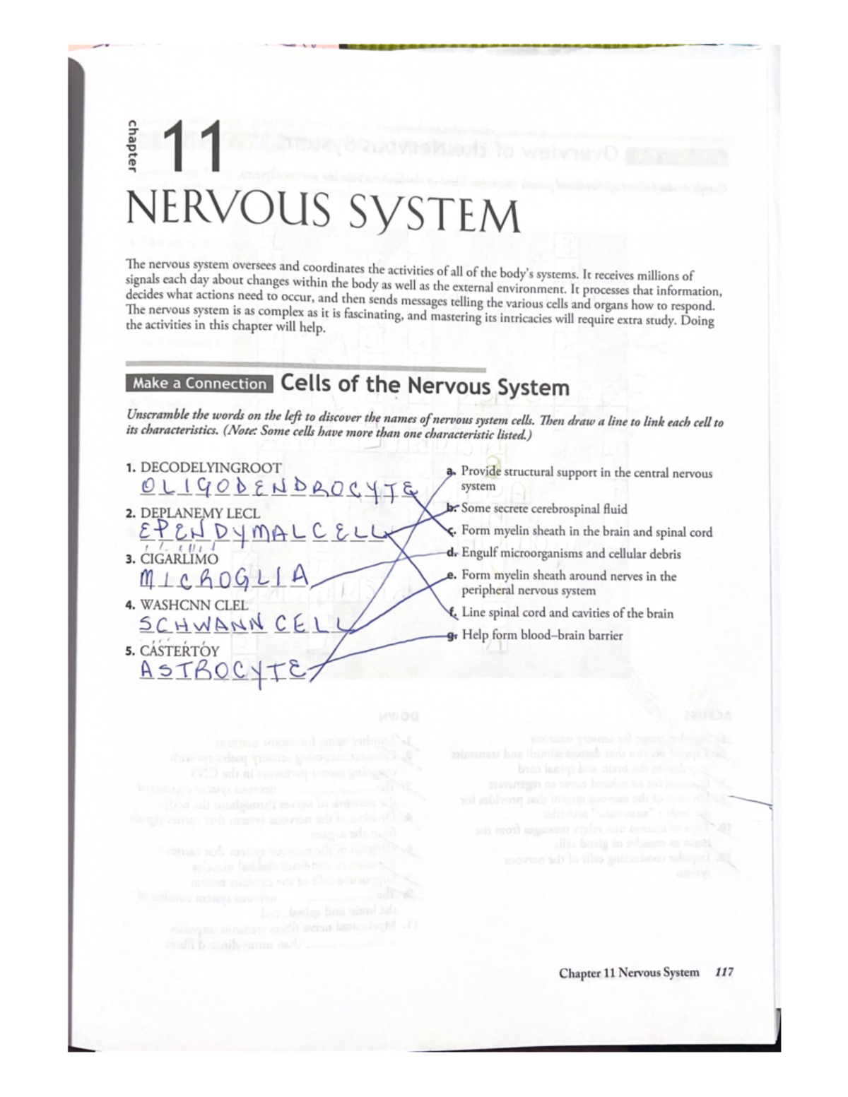 Midterm Study Guide for Psychology 101 (PSY101) - 11 NERVOUS SYSTEM The ...