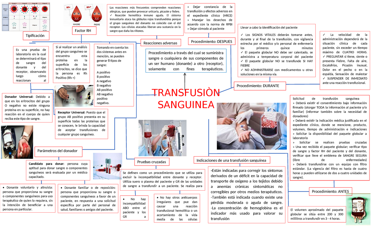 Mapa Conceptual Sobre Transfusión Sanguínea en Salud 101 - Studocu