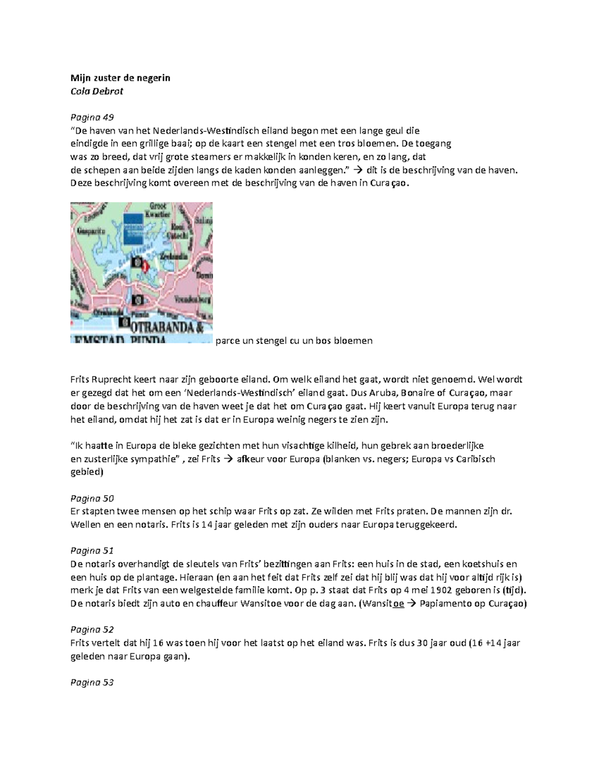 Samenvatting MZDN - Mijn Zuster de Negerin Analysis - Studocu