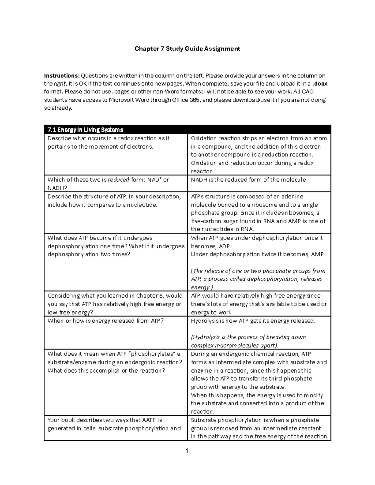 Chapter 7: Cellular Respiration Study Guide (BIO 101) - Studocu