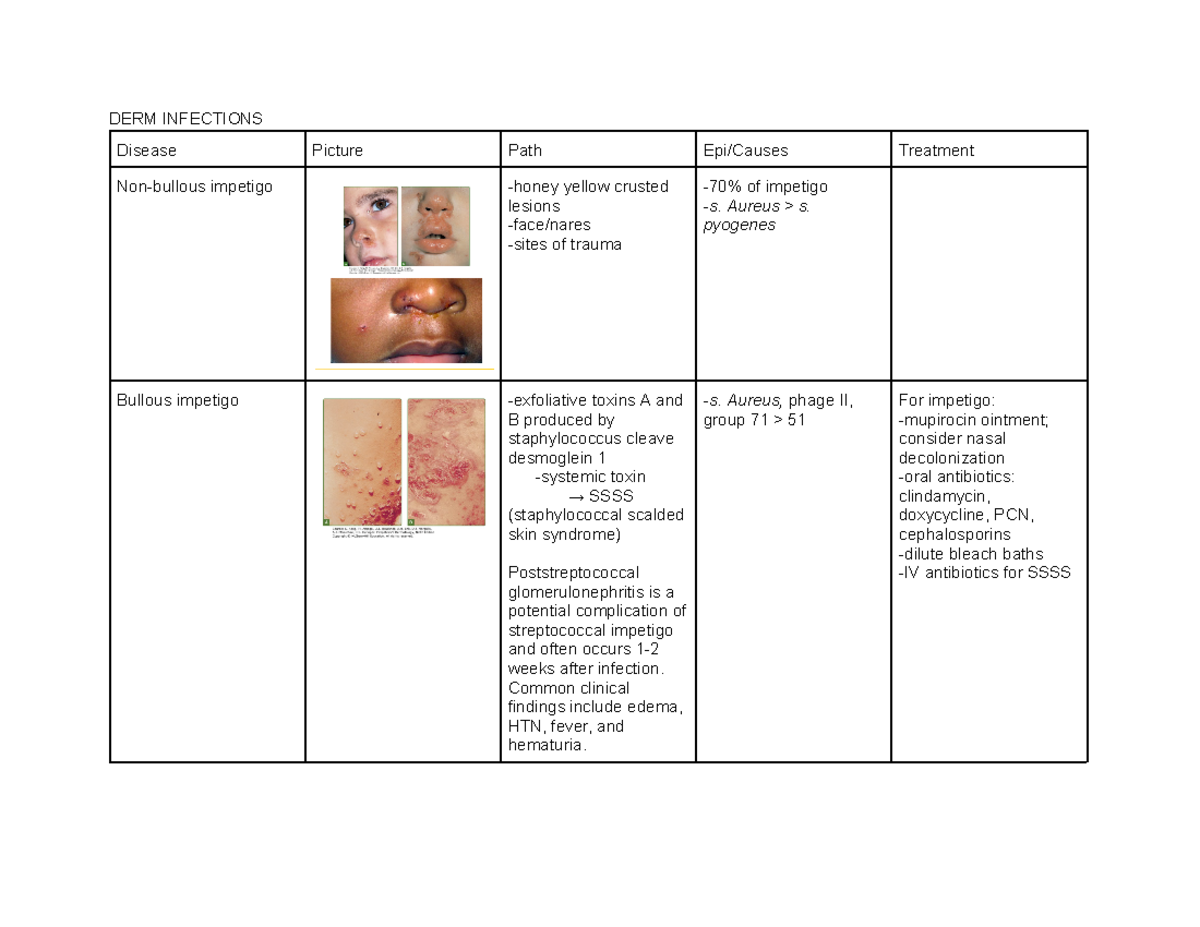 Dermatological Pathology Overview: Infections, Tumors, and Treatments ...
