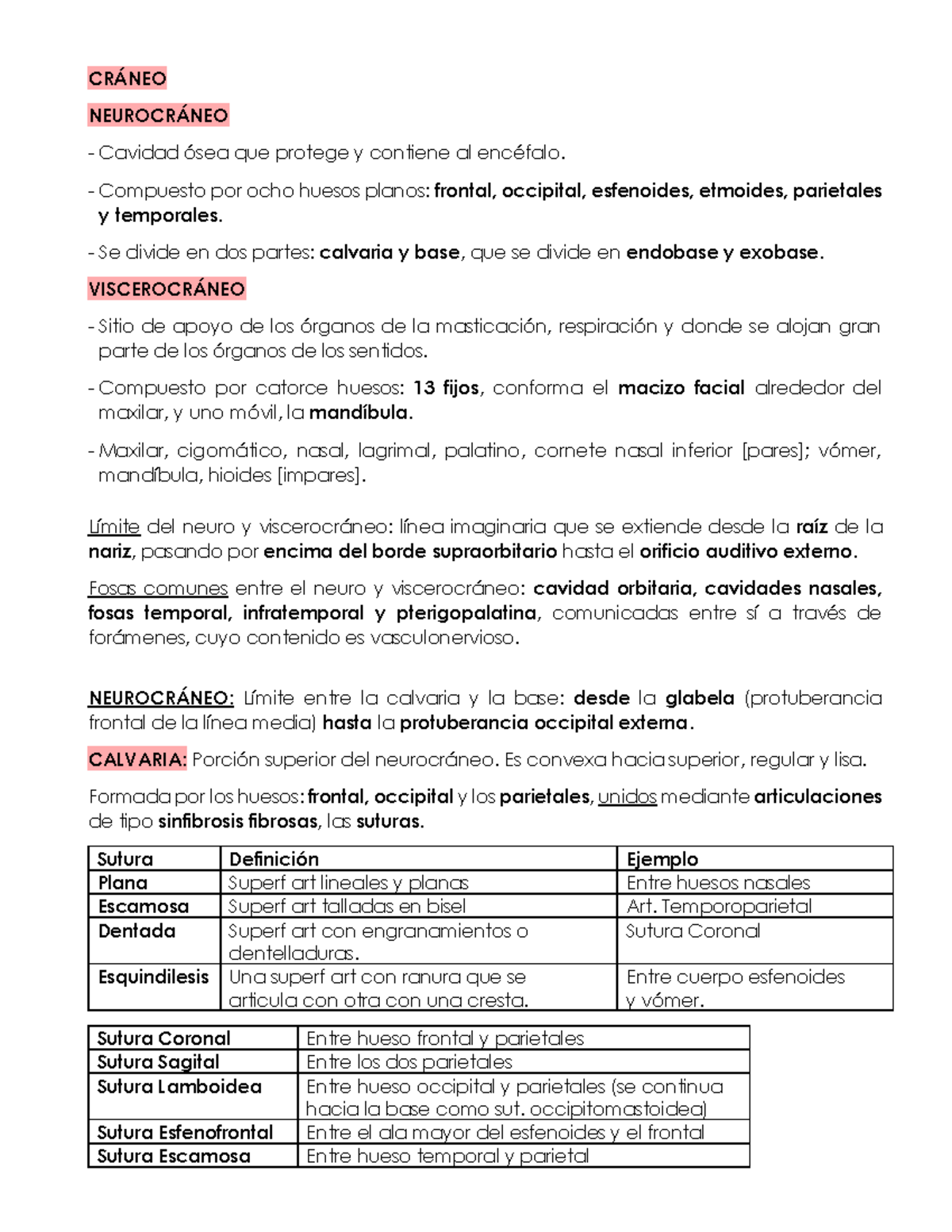 Estudio del Cráneo: Huesos, Regiones y Forámenes - Anatomía Cráneo 101 ...